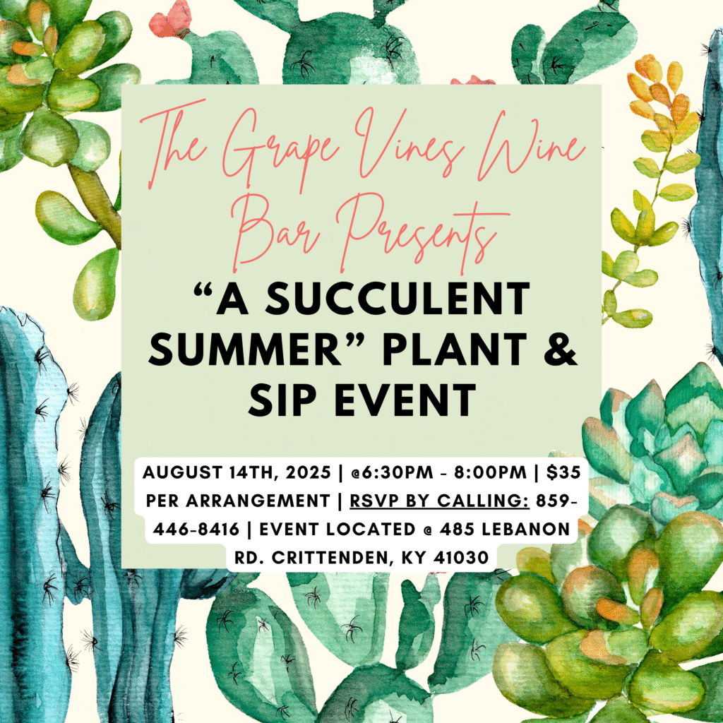 🪴🥂 “A Succulent Summer” Plant & Sip Event 🪴🍷… – thegrapevineswinebar